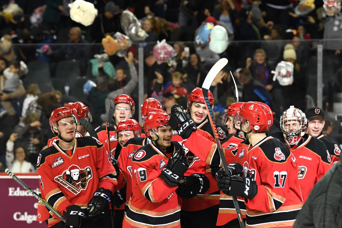 Hitmen taking aim at half-million stuffed toys in 30th Teddy Bear Toss