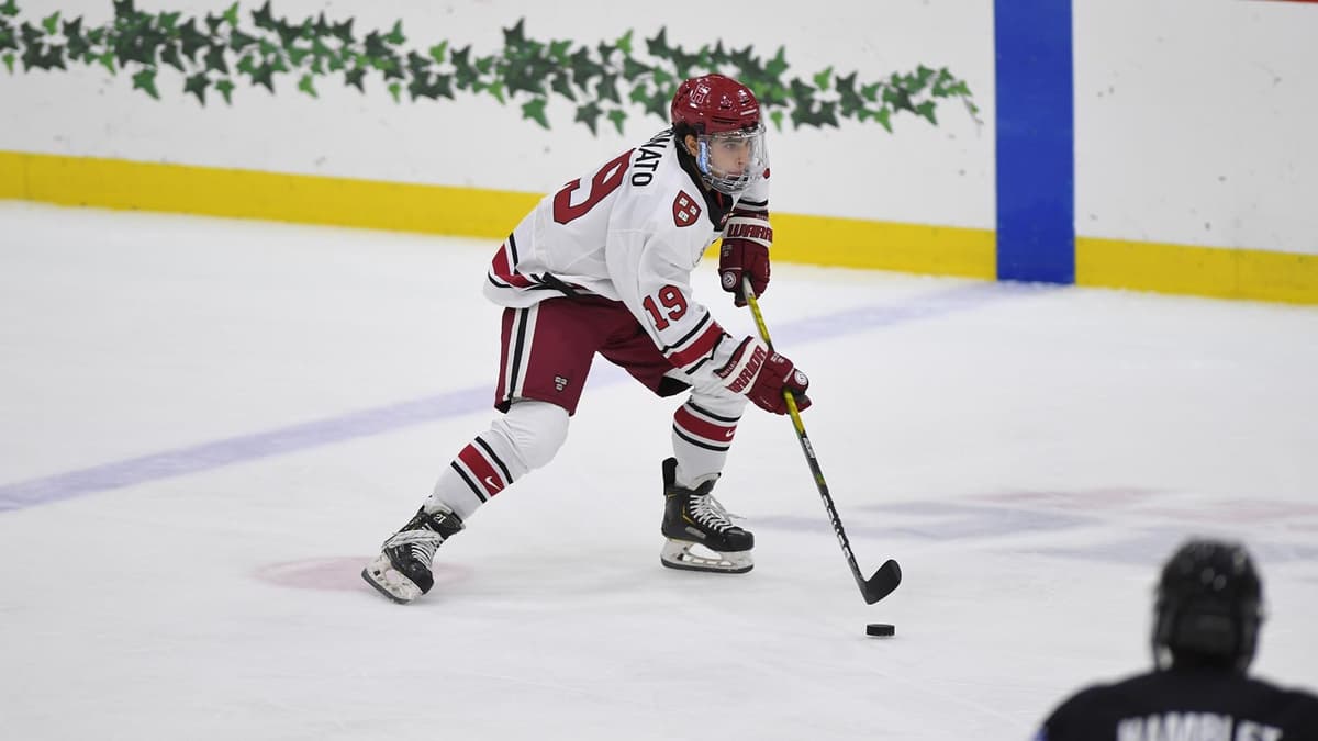 What could a Calgary Flames lineup look like with Matthew Coronato?