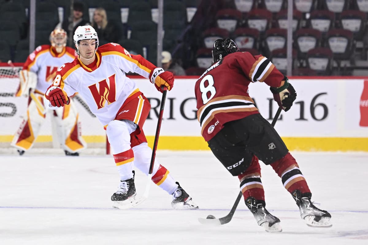 Series Preview: Calgary Wranglers and Tucson Roadrunners reacquainted ...