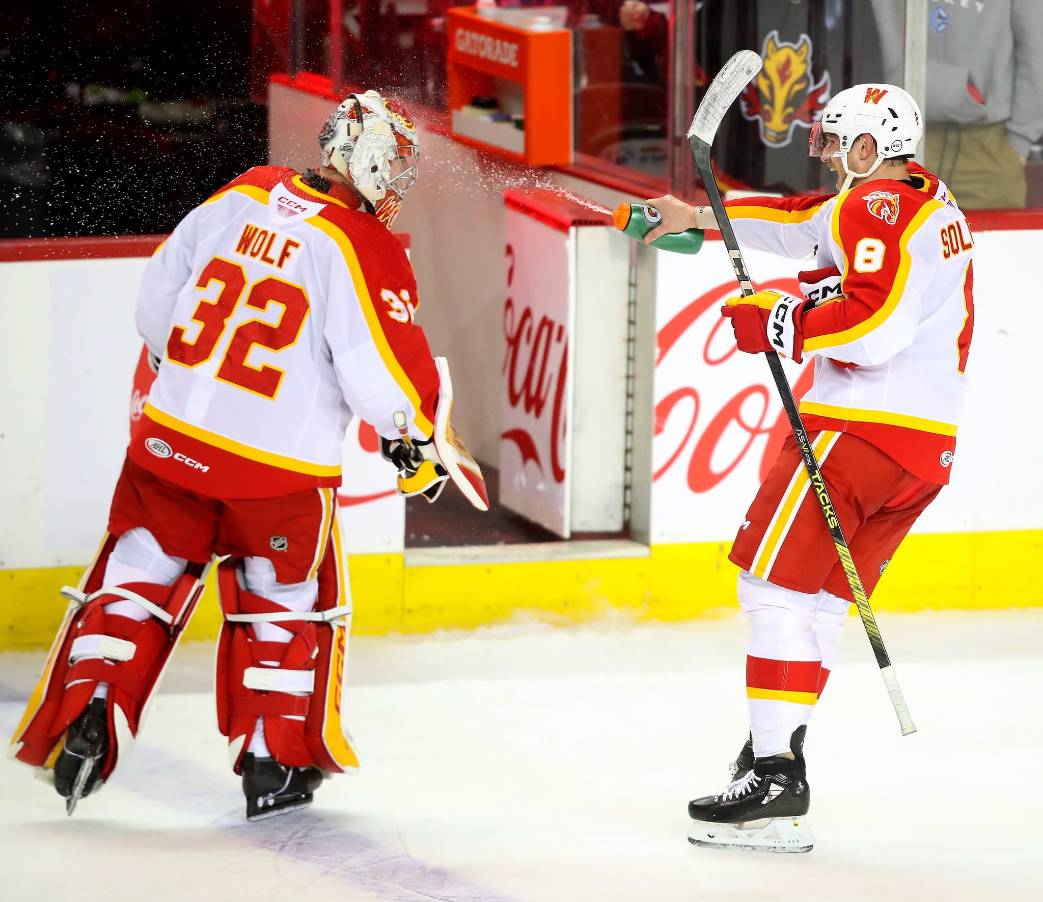 Calgary Flames assign goalie Dustin Wolf to the AHL’s Wranglers
