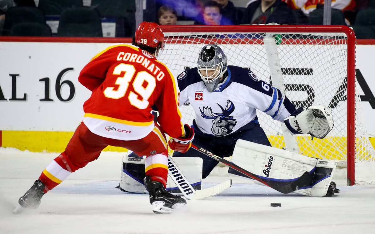 Matt Coronato has lots to prove in 2024-25 but is reportedly feeling ...
