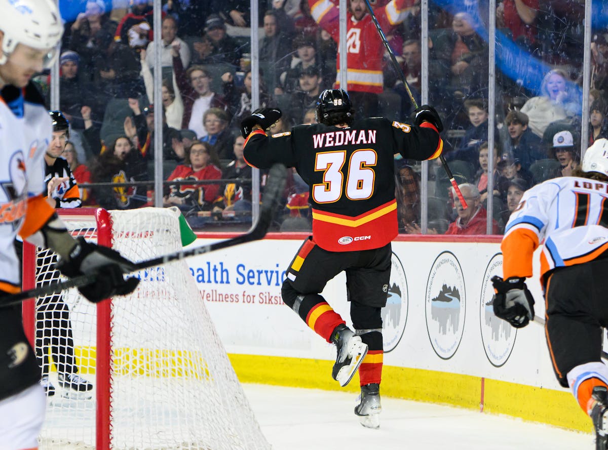 Calgary Wranglers game day: Trying to contain Glenn Gawdin and the Gulls