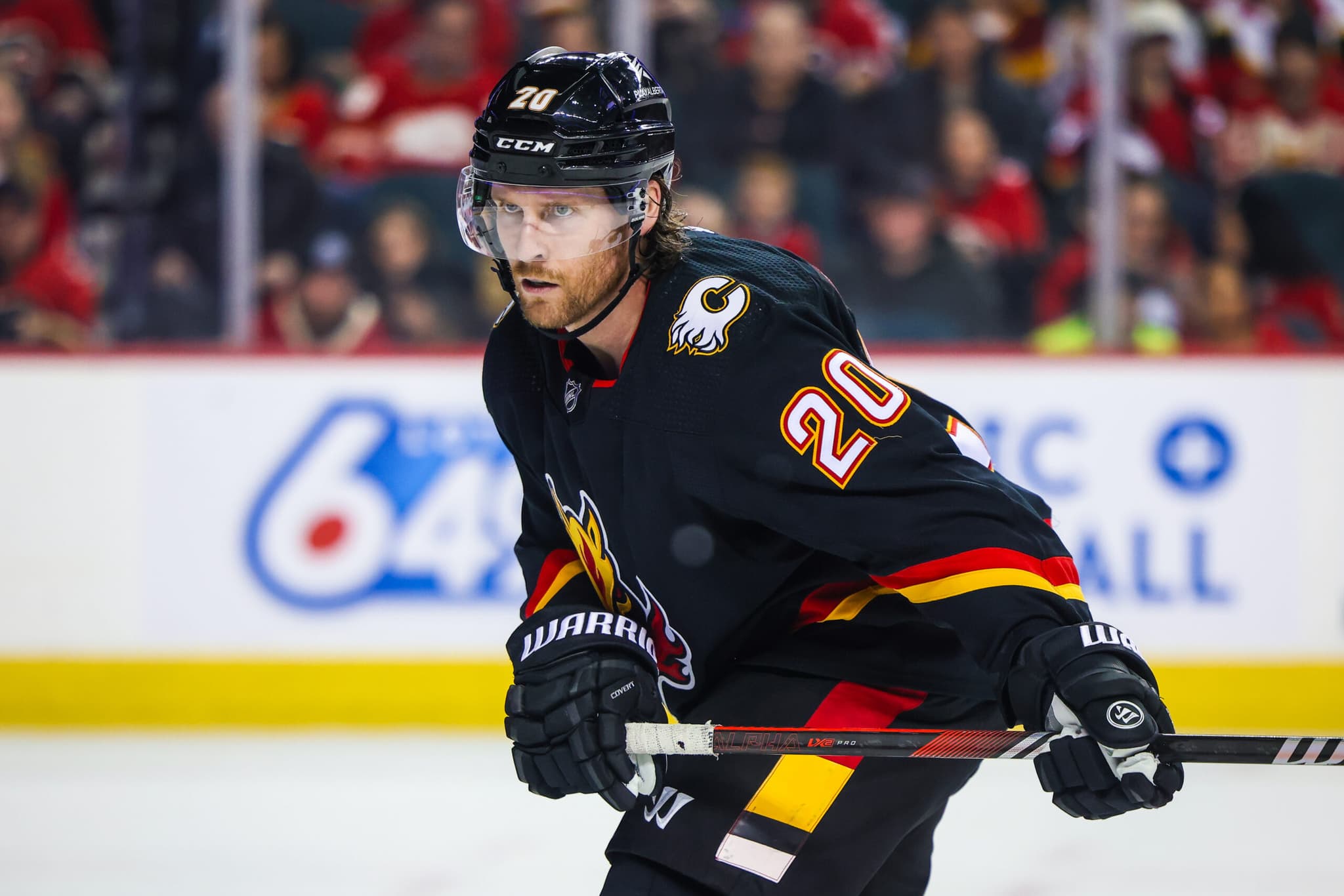 Flames Nation - News, Roster, Scores, Schedule