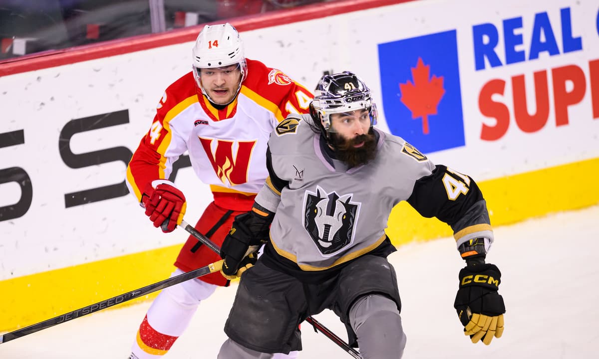 Flames place forward Ilya Nikolaev on waivers for mutual contract ...