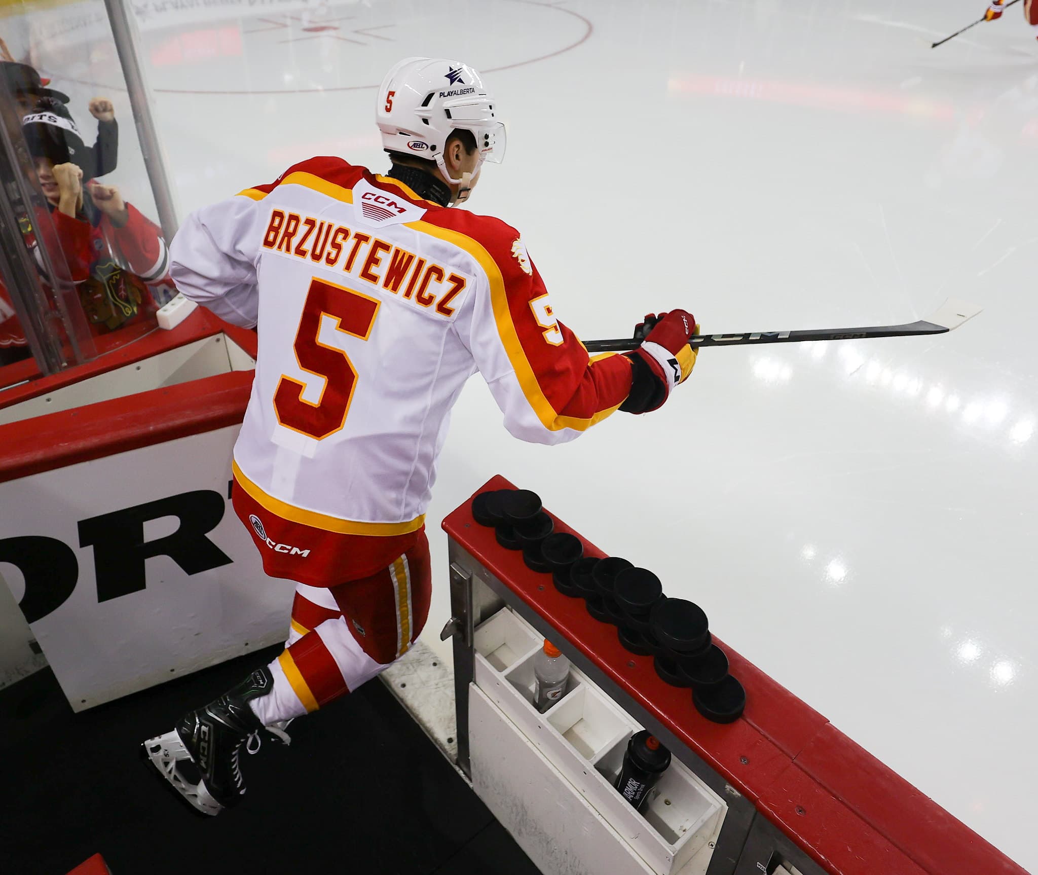 Flames Nation - News