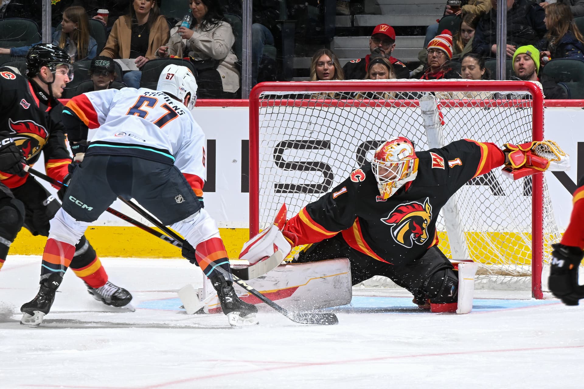 Flames Nation - News, Roster, Scores, Schedule