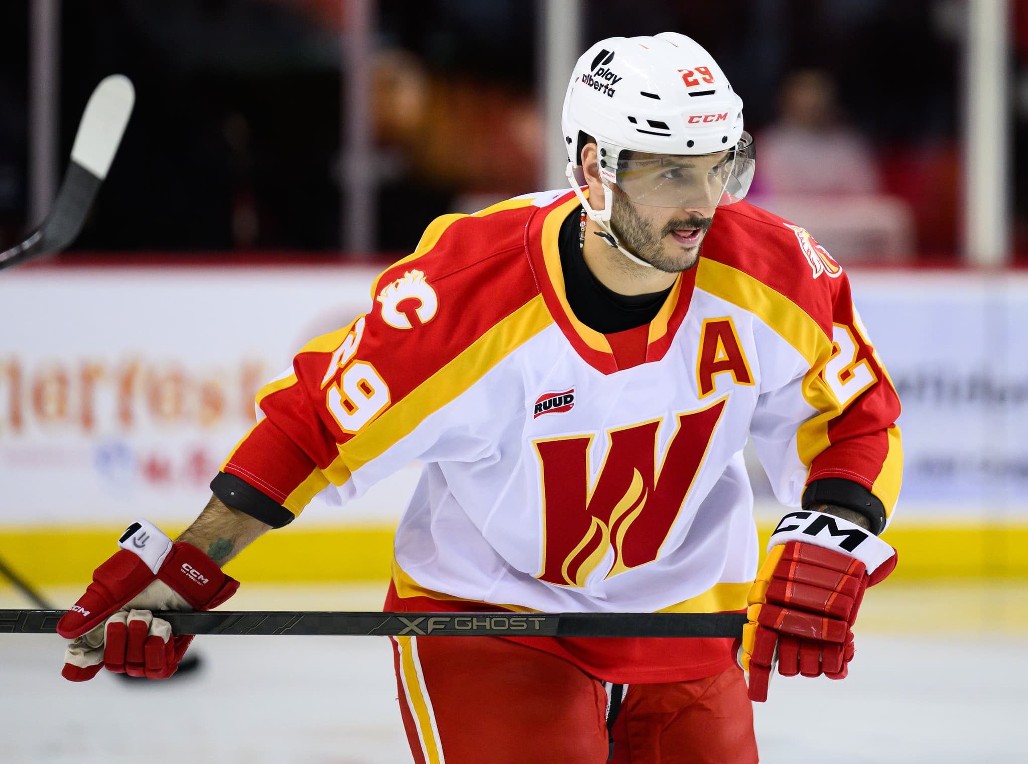 FN AHL Report Cards: Martin Frk blasted his way to 30 goal campaign ...