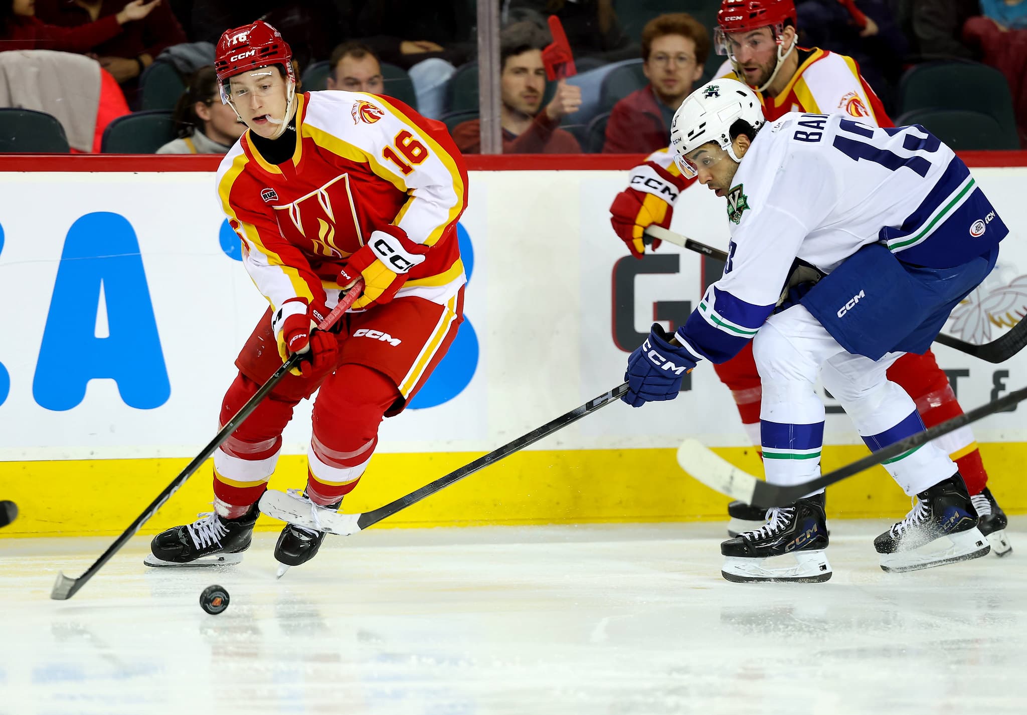 FN AHL Report Cards: Carter Wilkie split his first pro season between ...